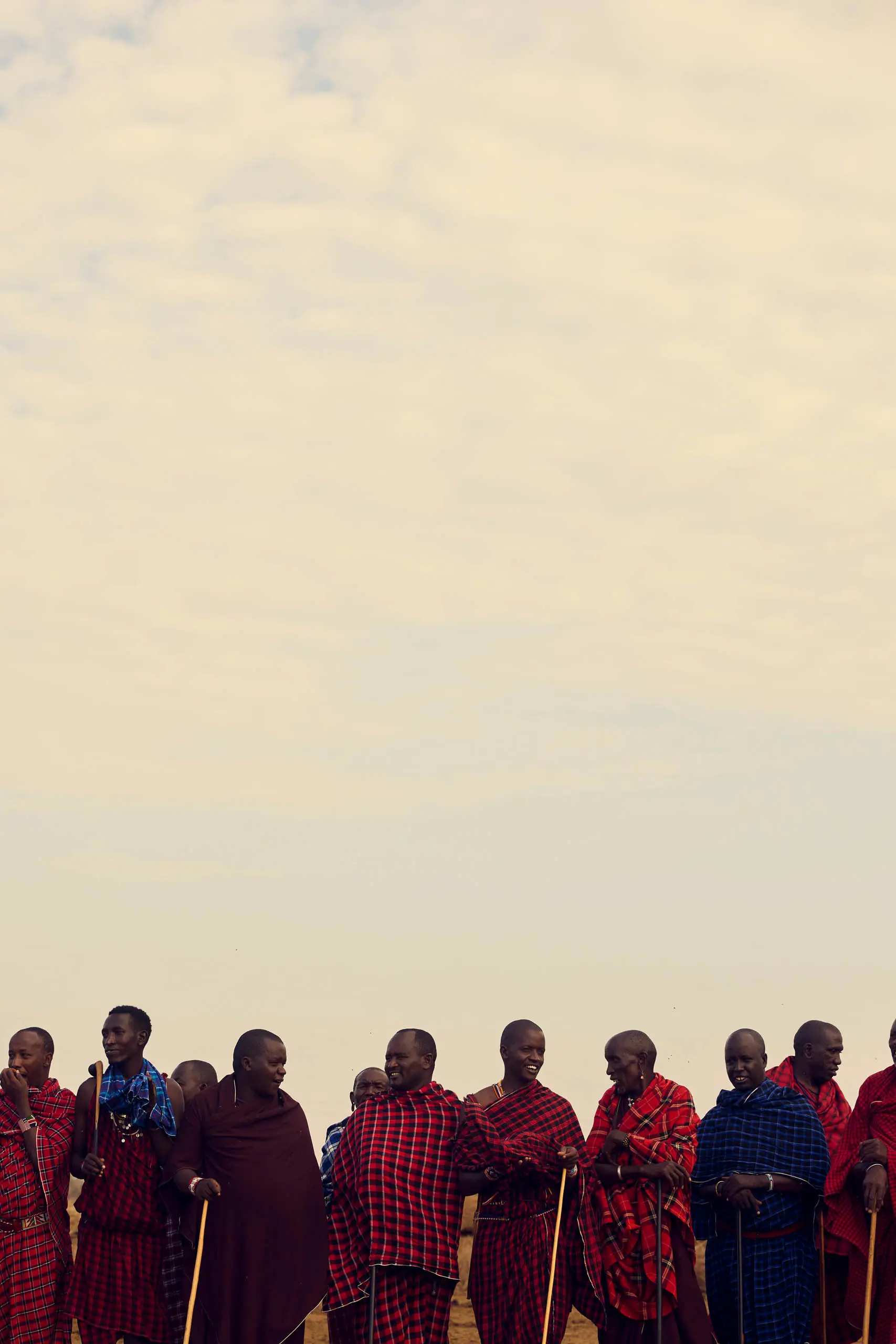 Discover Collection - Unearth the Uncommon