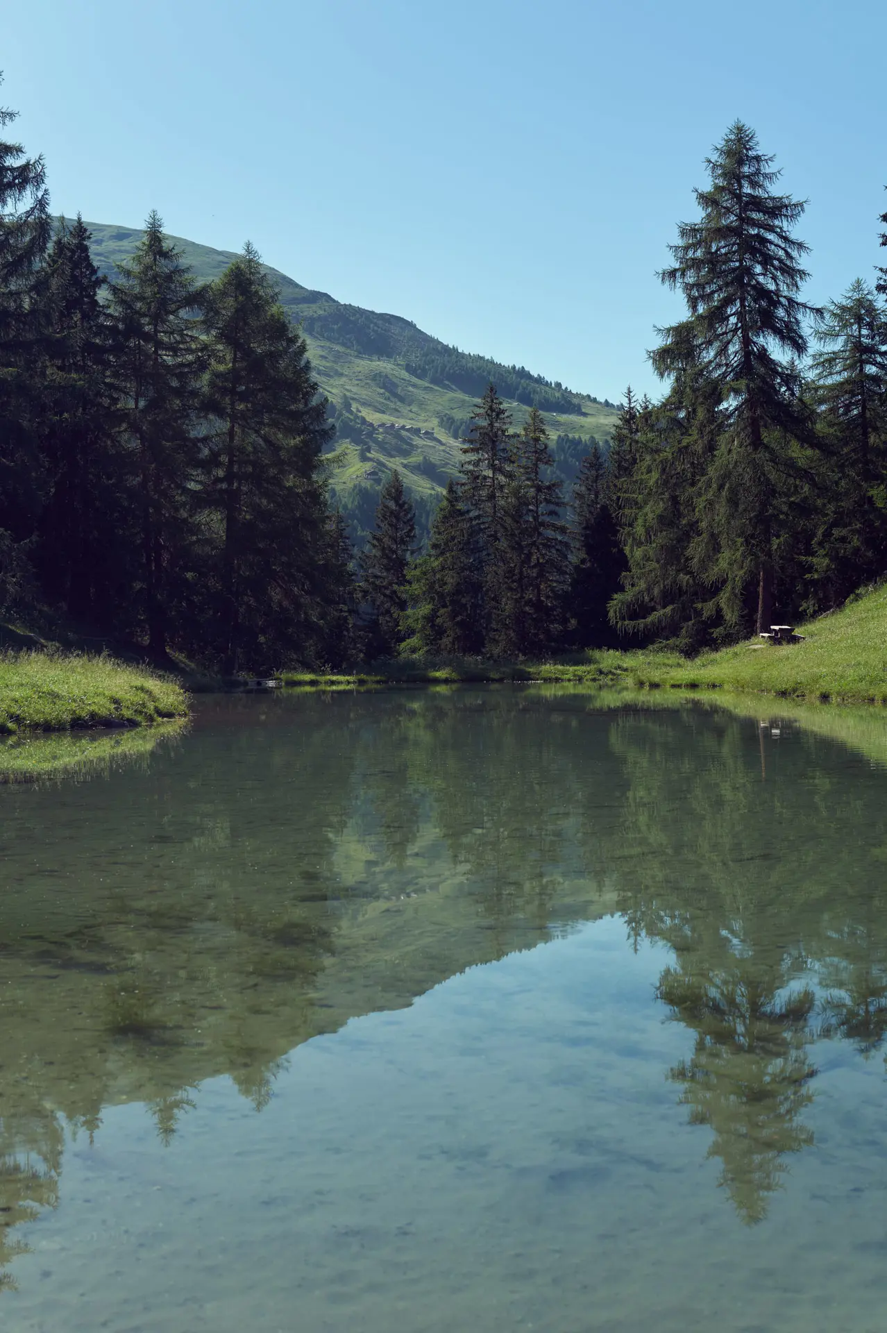 Discover Collection - Unearth the Uncommon